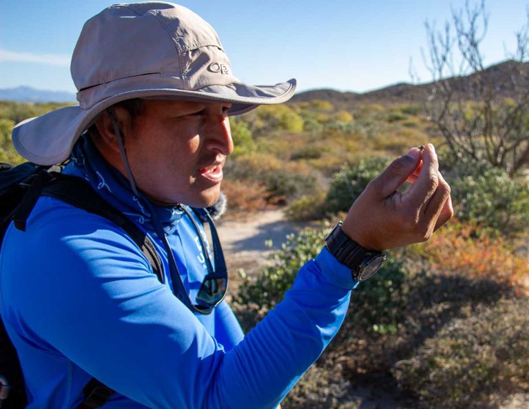 Baja Packing List: 17 Items to Make Your Trip Better on Land & Sea ...